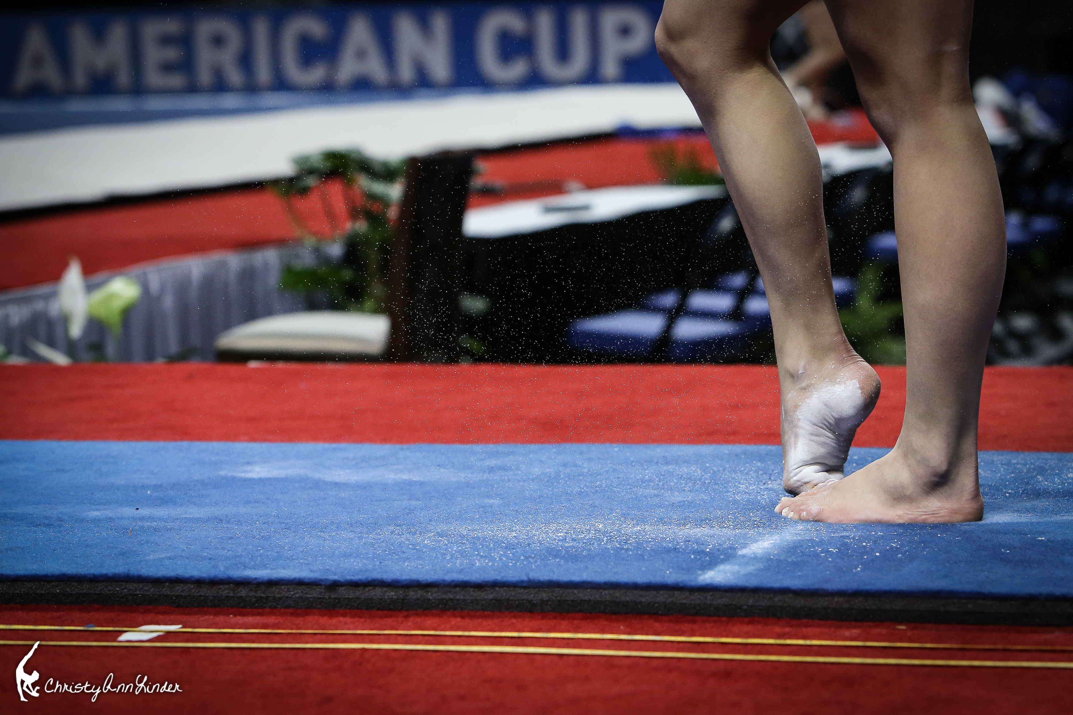 13 Awesome Photos from Podium Training at the 2014 American Cup
